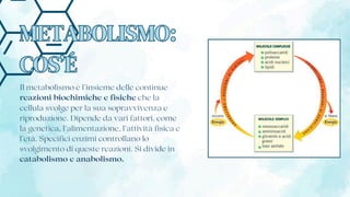 ANABOLISMO CATABOLISMO E ACQUA nell'organismo | PDF