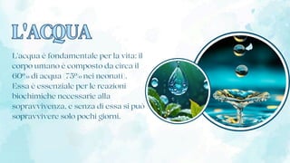 ANABOLISMO CATABOLISMO E ACQUA nell'organismo | PDF