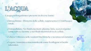 ANABOLISMO CATABOLISMO E ACQUA nell'organismo | PDF