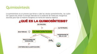 anabolismo y catabolismo MITA SAMUEL Y MONTALICO HAROLD BIOGEO 2023 2.pptx