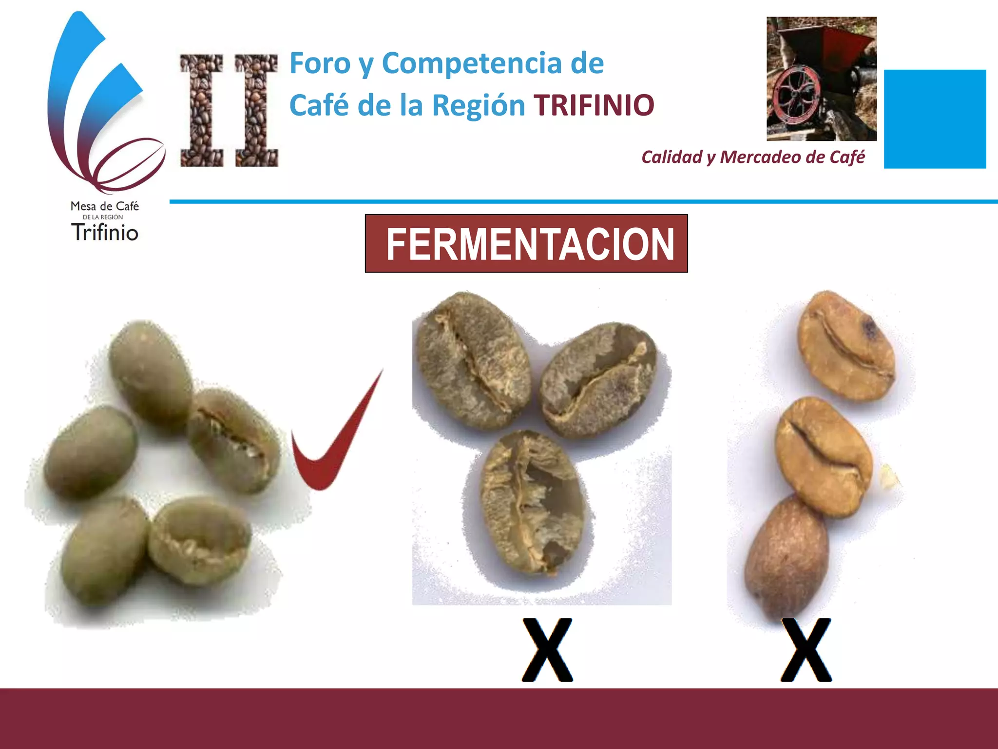 Análisis de defectos en el café | PPT