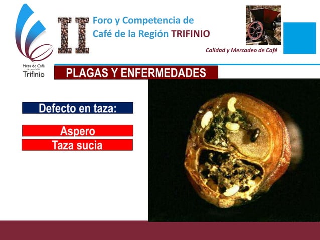 Análisis de defectos en el café