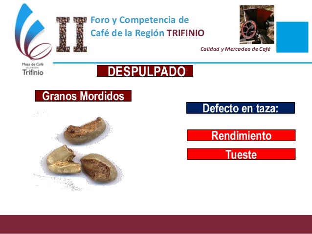 Análisis de defectos en el café