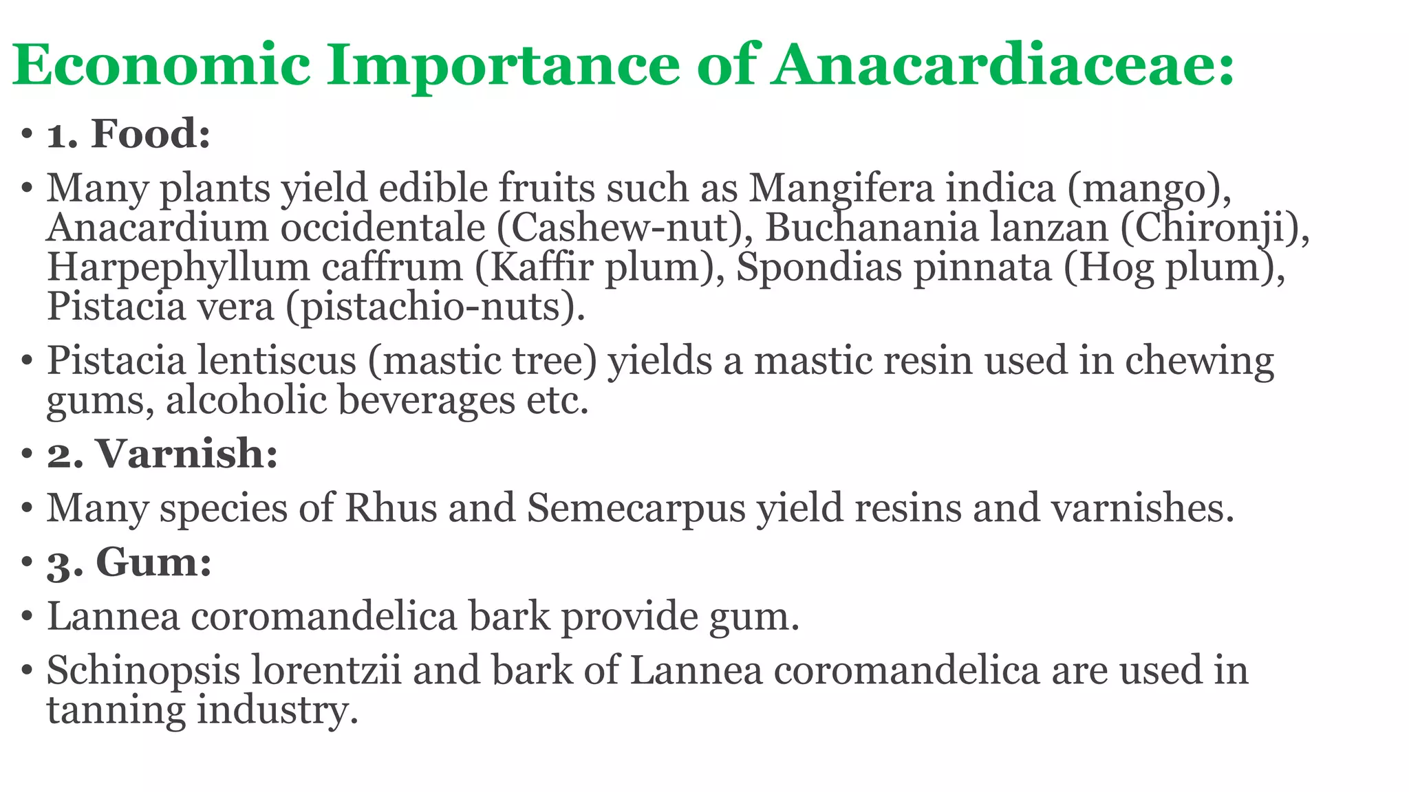 ANACARDACEAE.pptx