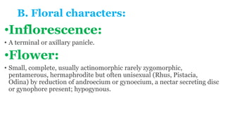 ANACARDACEAE.pptx