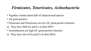 An account of Prokaryotic classification | PPTX