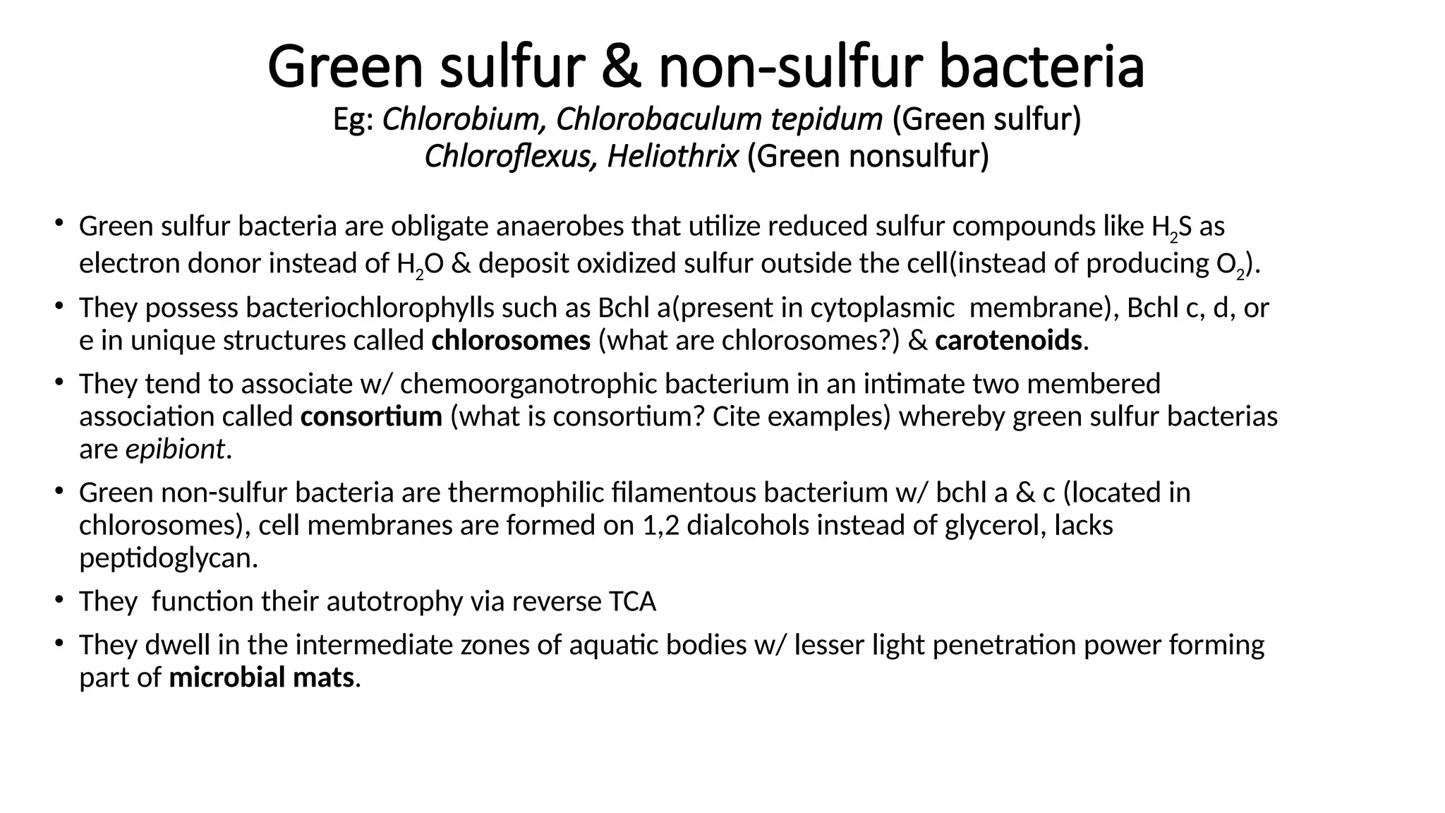 A brief account of Prokaryotic cells NEP | PPTX