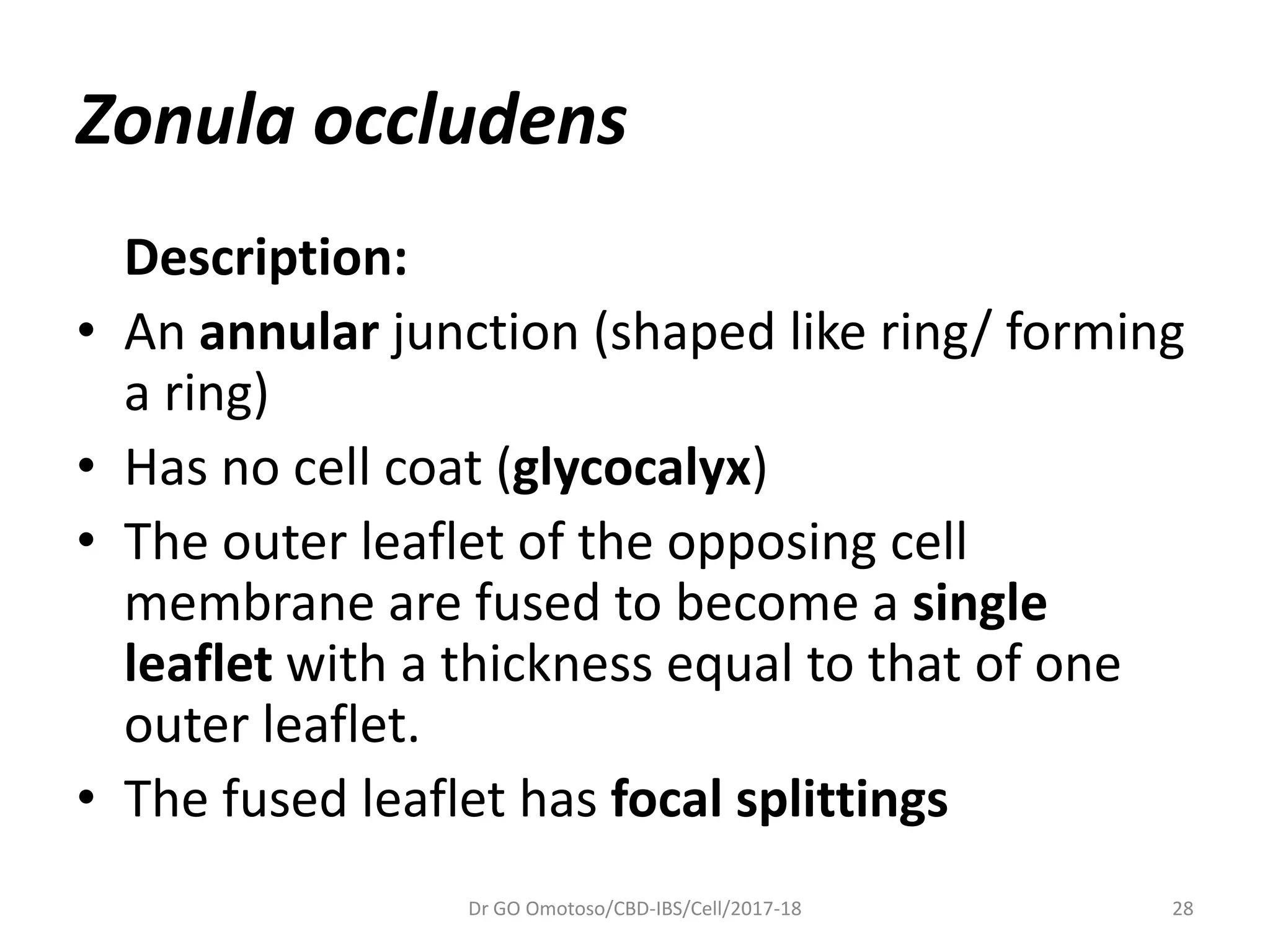 ANATOMY OF THE HUMAN CELL WITH RELEVANT ILLUSTRATIONS | PDF