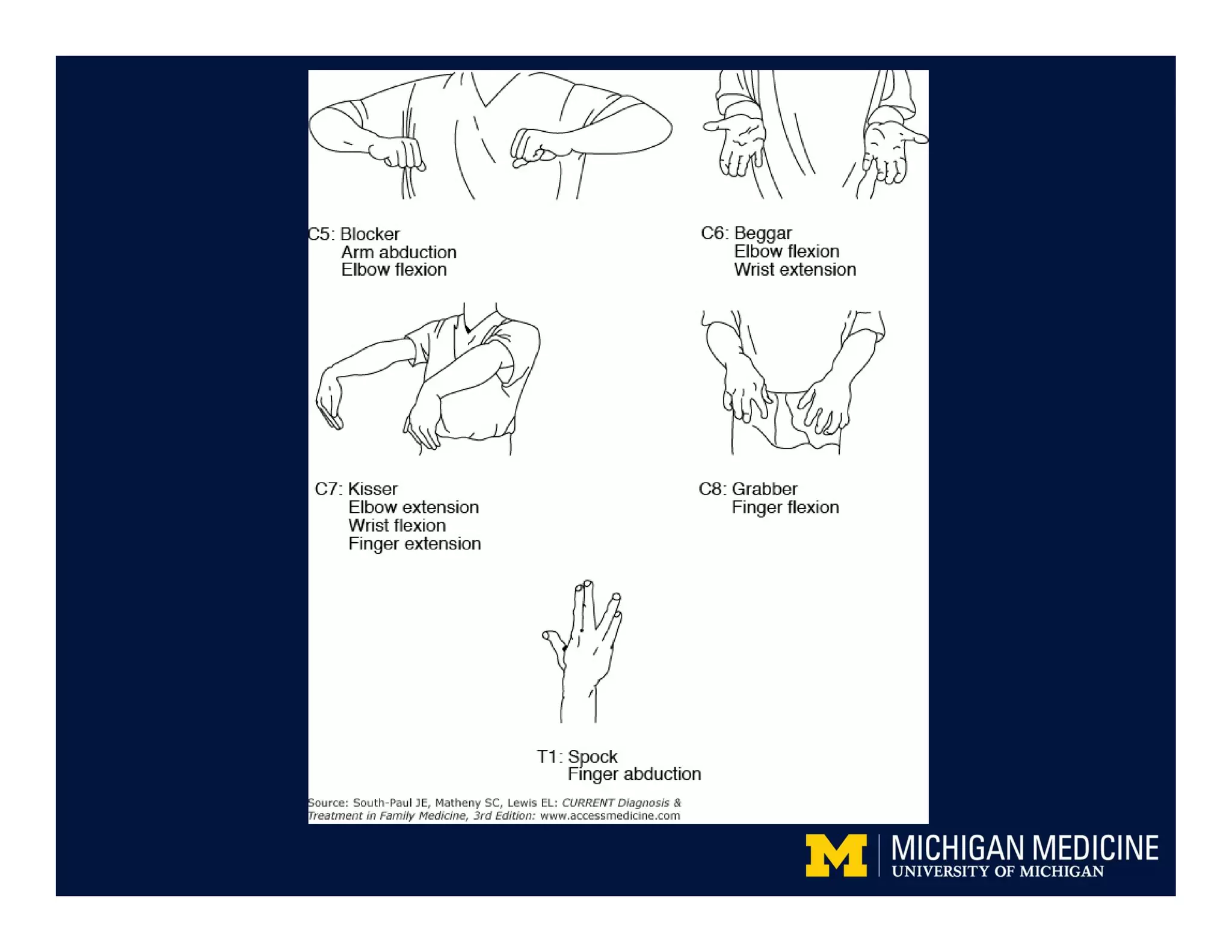 Anacker Michael On-Field Assessment & Management of Injuries 10-2.pdf