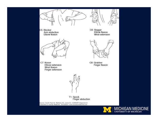 Anacker Michael On-Field Assessment & Management of Injuries 10-2.pdf
