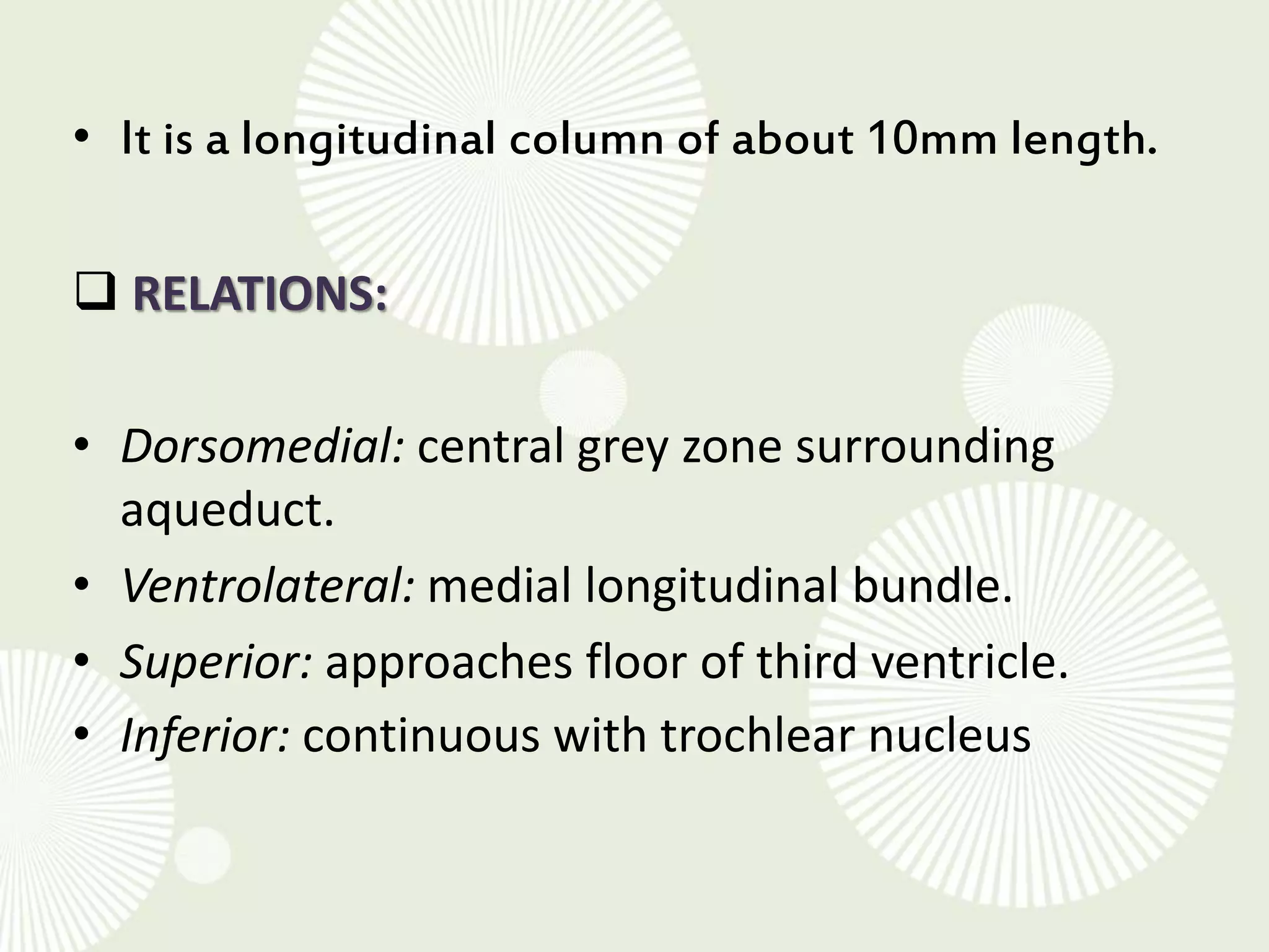 Anatomy of 3rd cranial nerve | PPTX