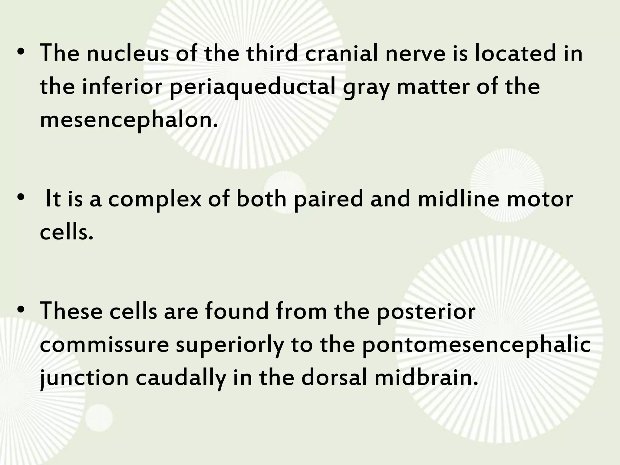 Anatomy of 3rd cranial nerve | PPTX