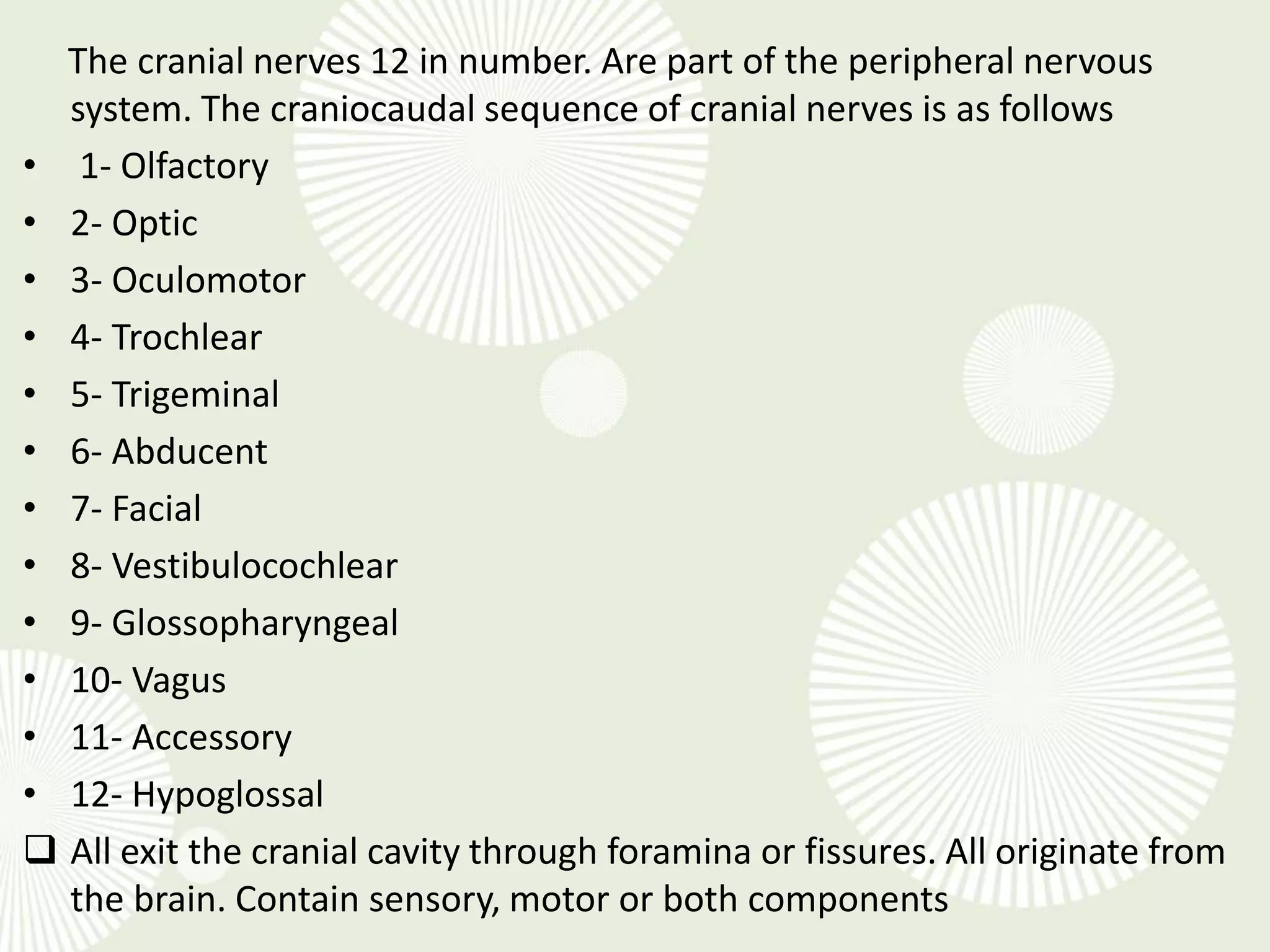 Anatomy of 3rd cranial nerve | PPTX