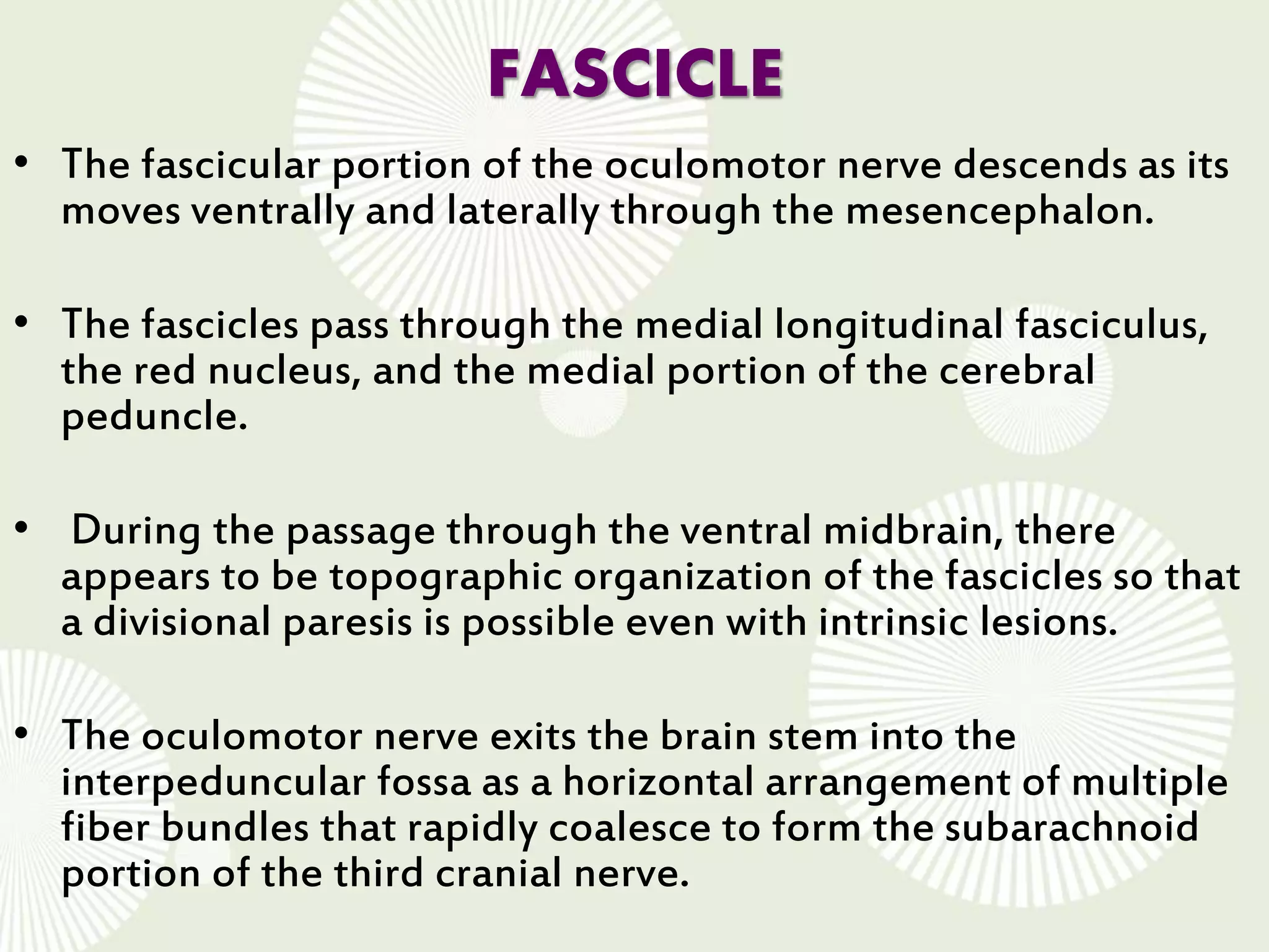 Anatomy of 3rd cranial nerve | PPTX