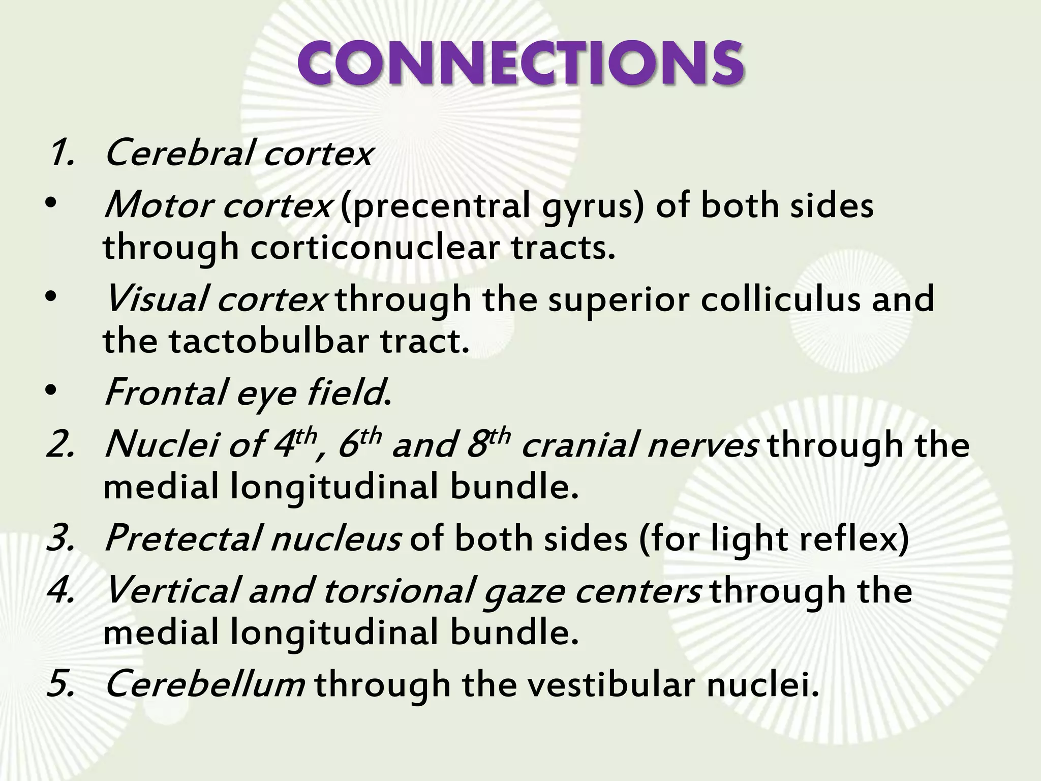 Anatomy of 3rd cranial nerve | PPTX