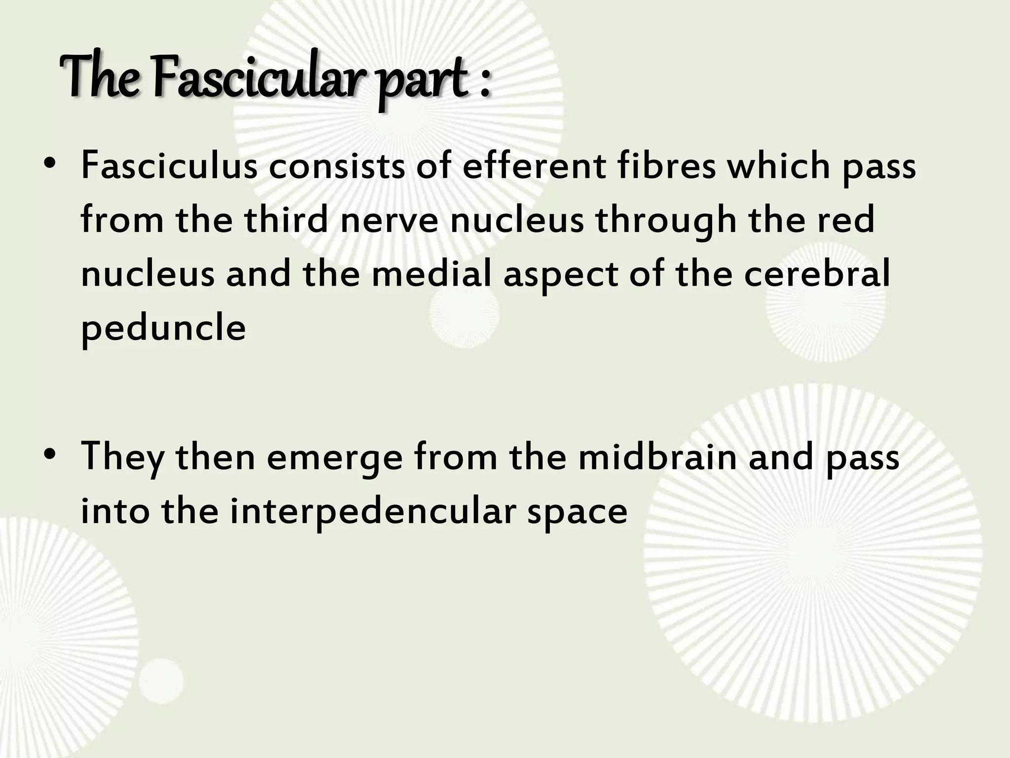Anatomy of 3rd cranial nerve | PPTX