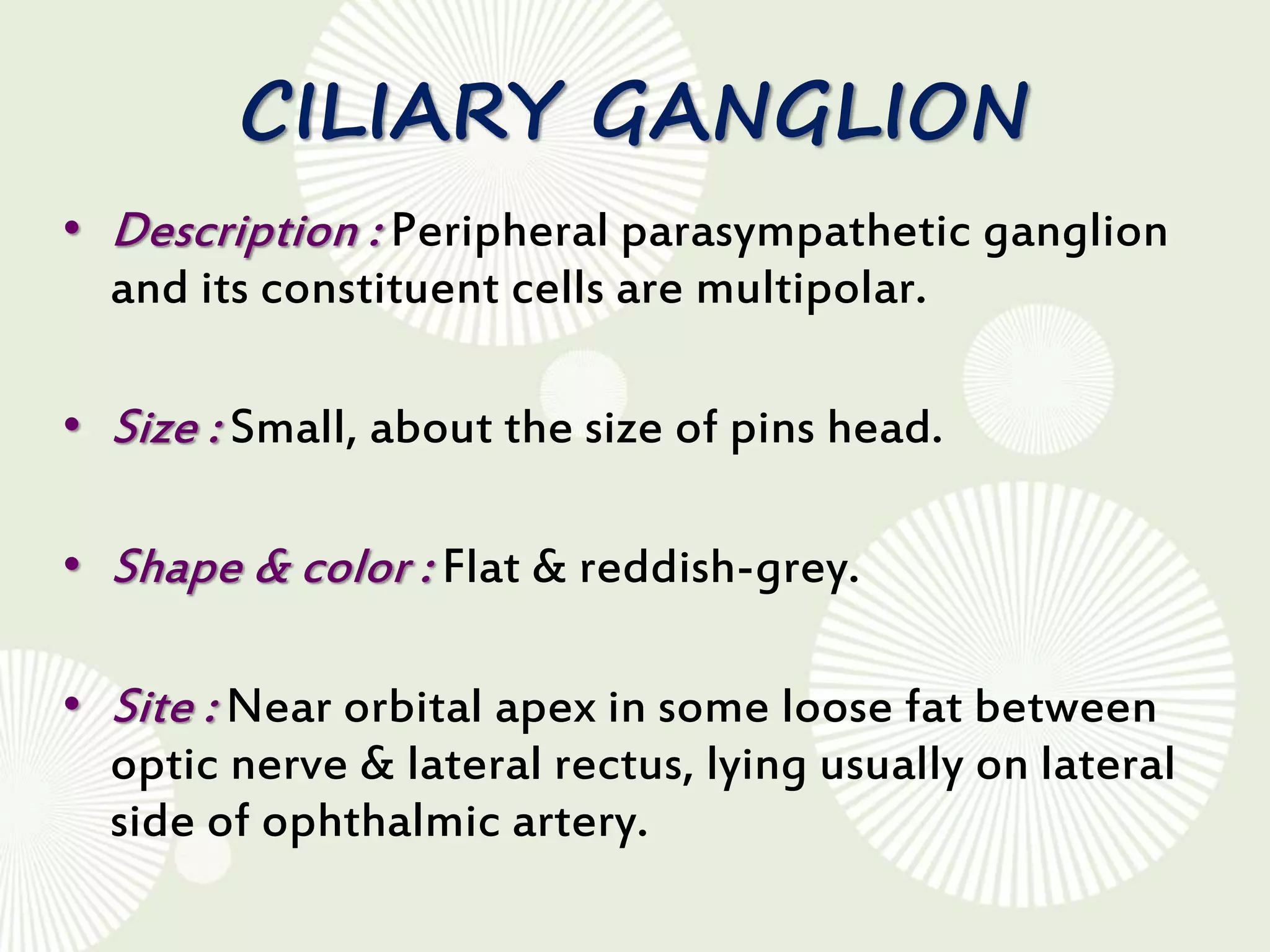 Anatomy of 3rd cranial nerve | PPTX