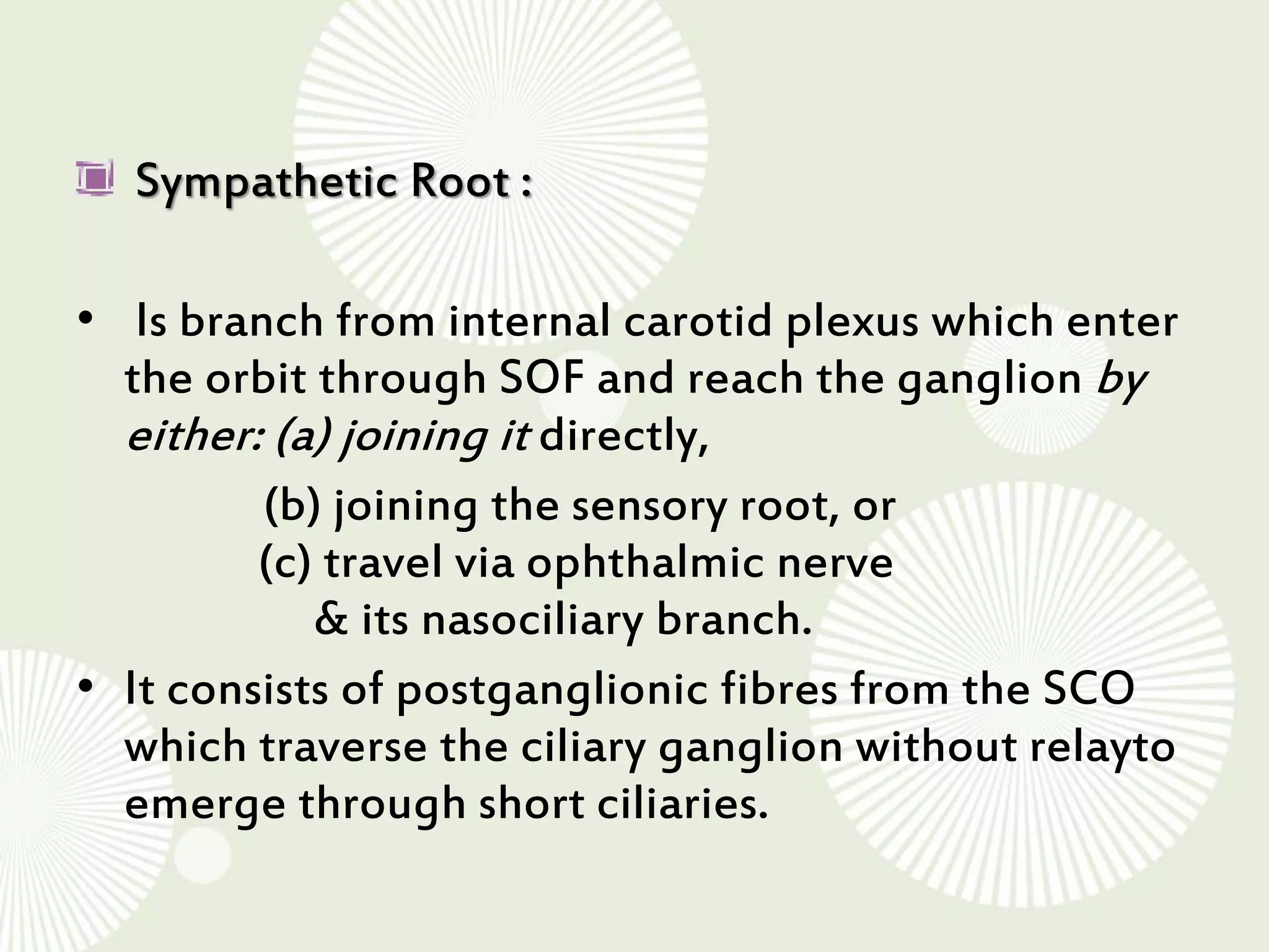 Anatomy of 3rd cranial nerve | PPTX