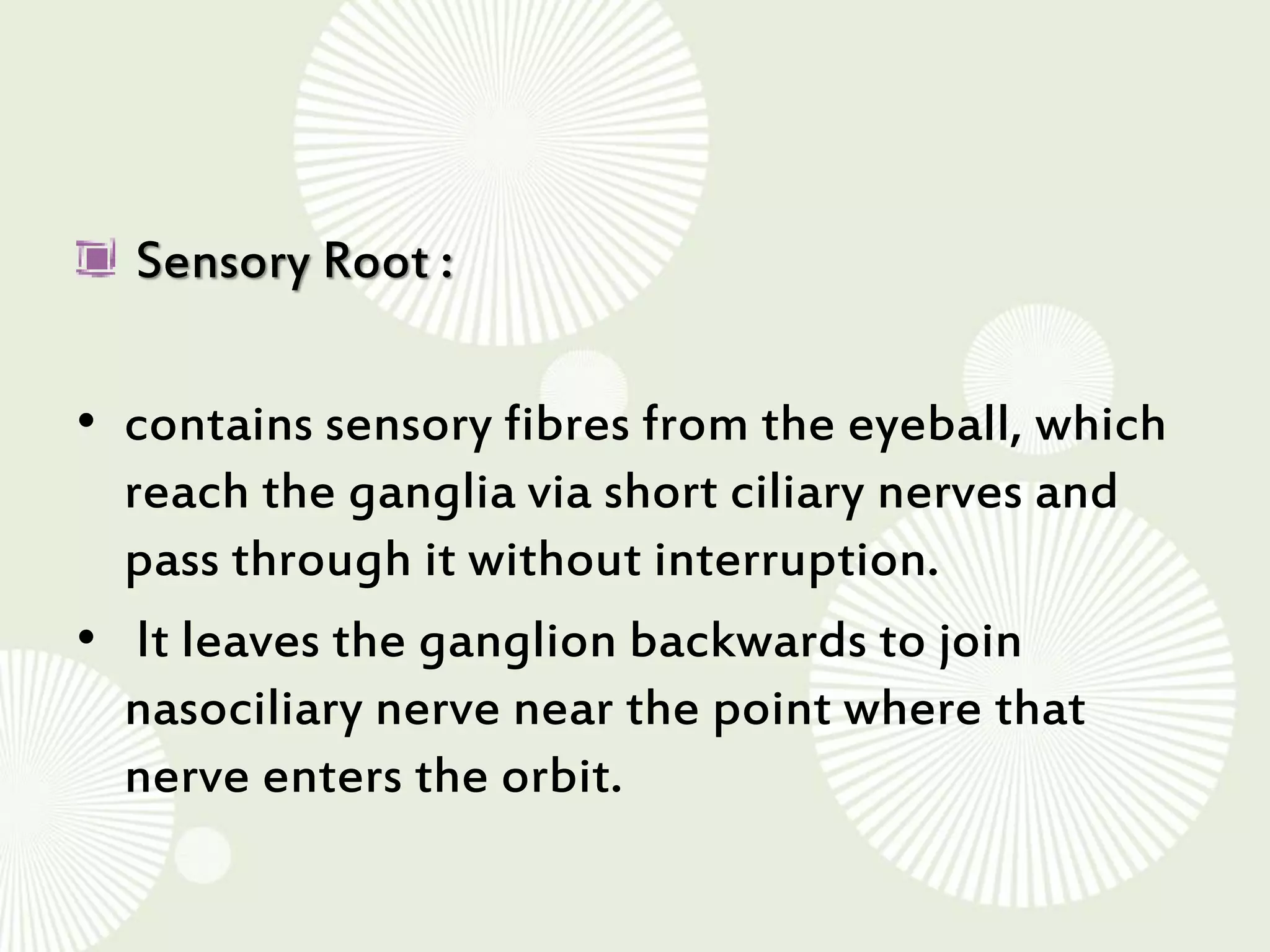 Anatomy of 3rd cranial nerve | PPTX