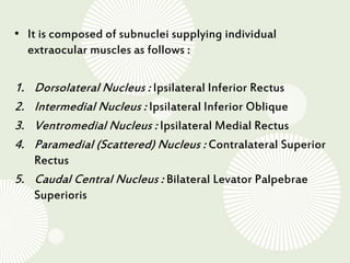 Anatomy of 3rd cranial nerve | PPTX