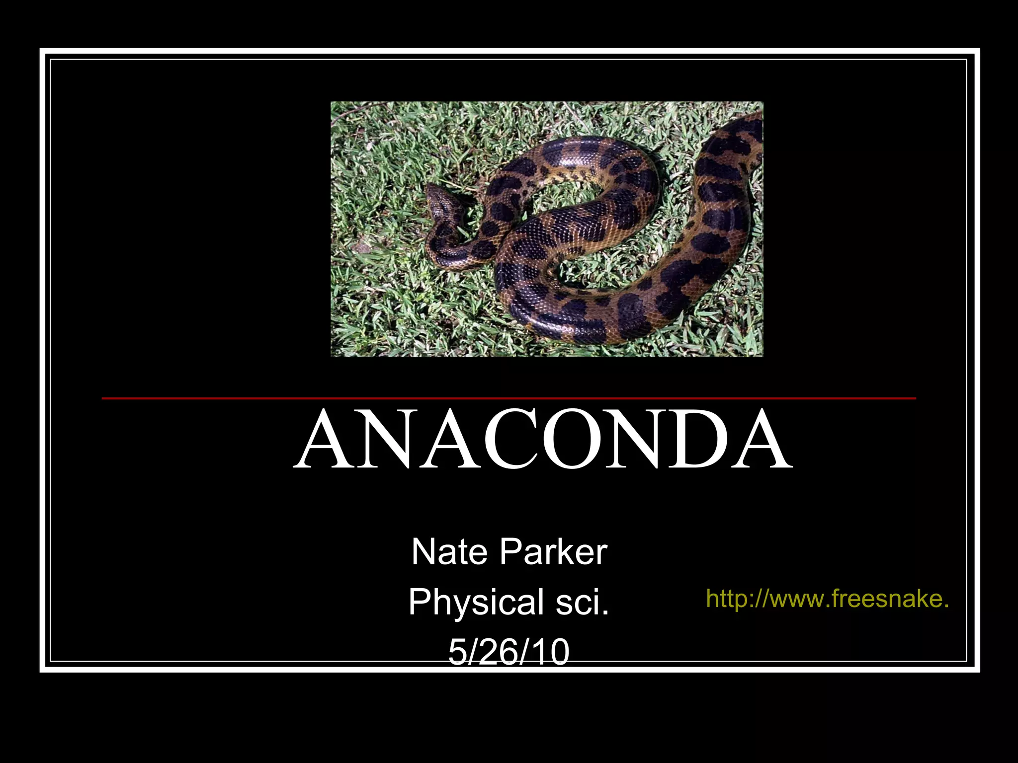 Anaconda | PPT