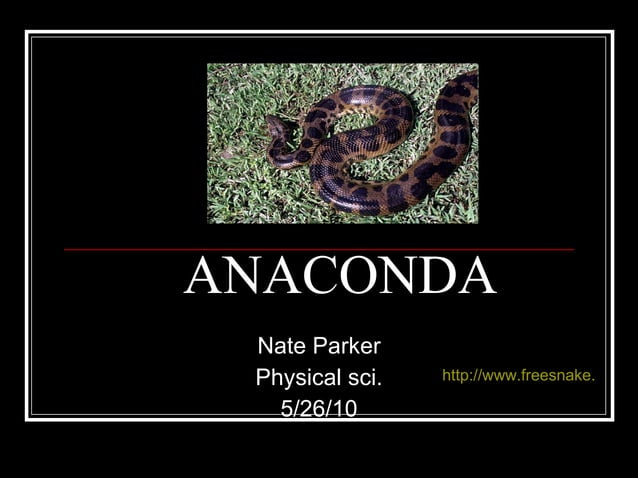 Anaconda | PPT | Reptiles | Pets