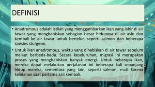 ANADROMOUS KEL 5.pdf