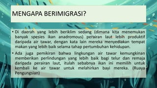 ANADROMOUS KEL 5.pdf