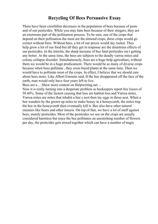 An Adventurous Trip Essay. Family Camping Trip Sample Essay Camping ...