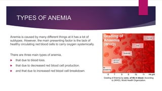 Anemia | PPTX