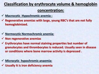 anaemia-171208034251.pdf