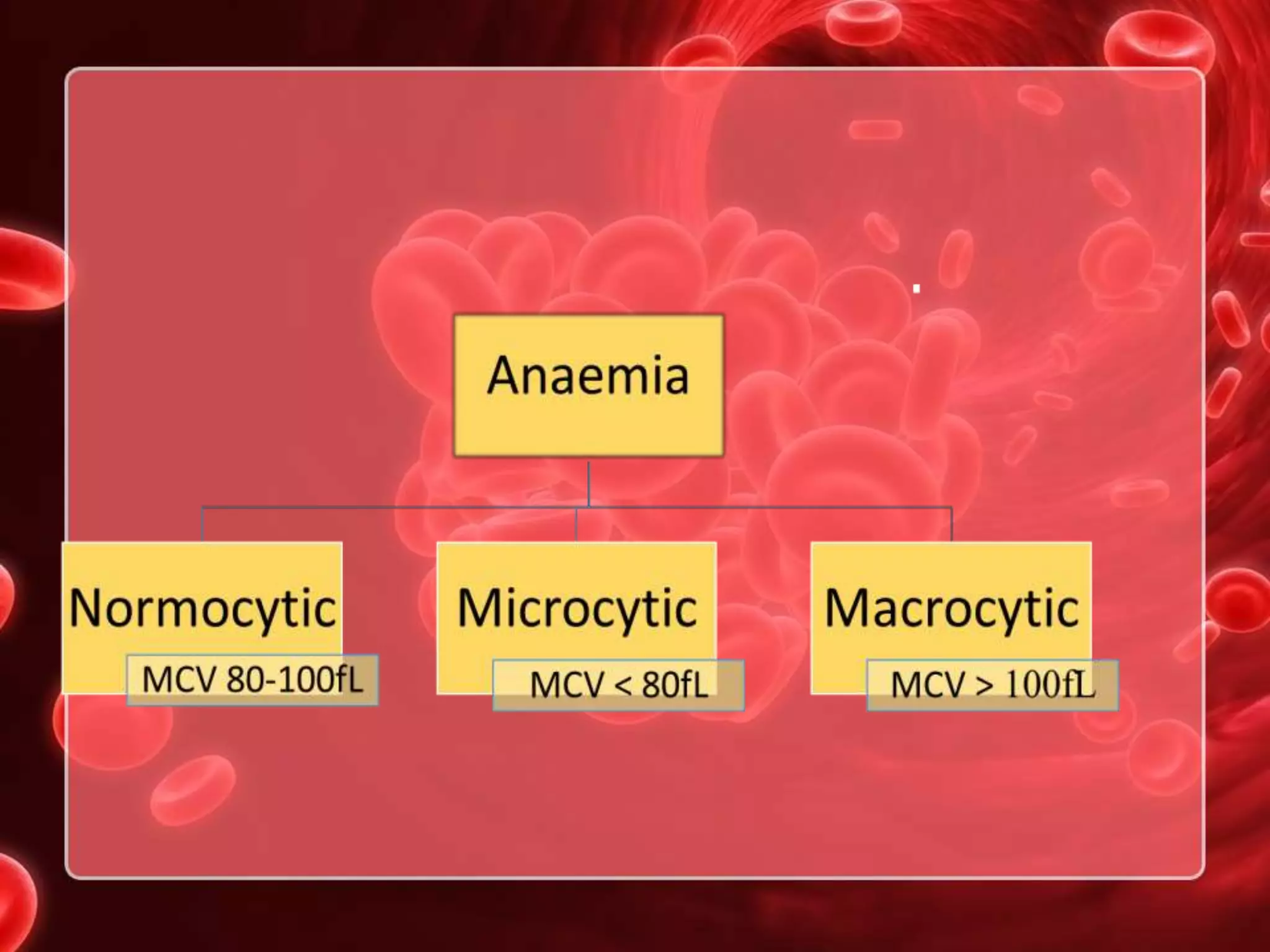 Anaemia | PPT