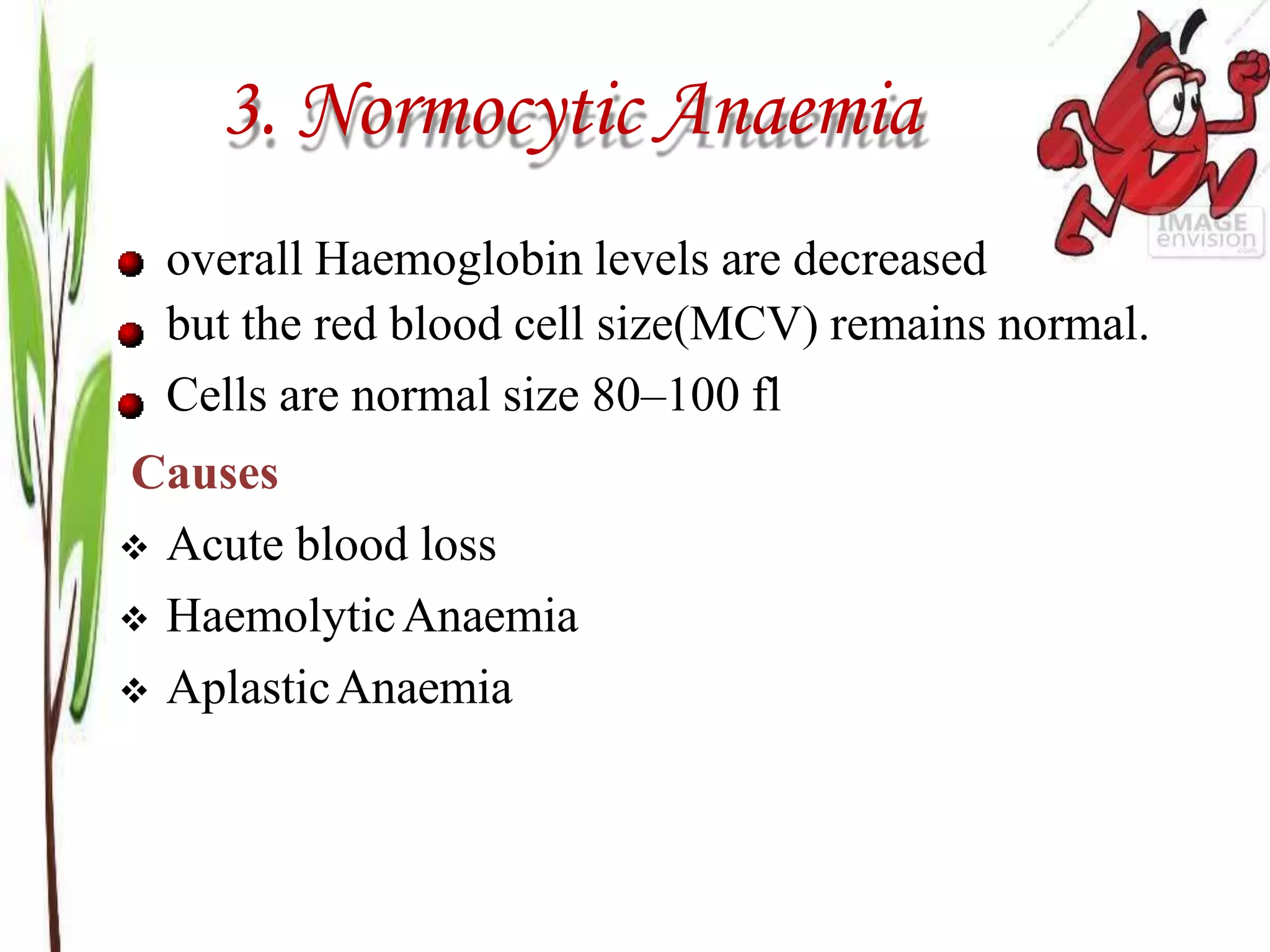 Anaemia | PPTX