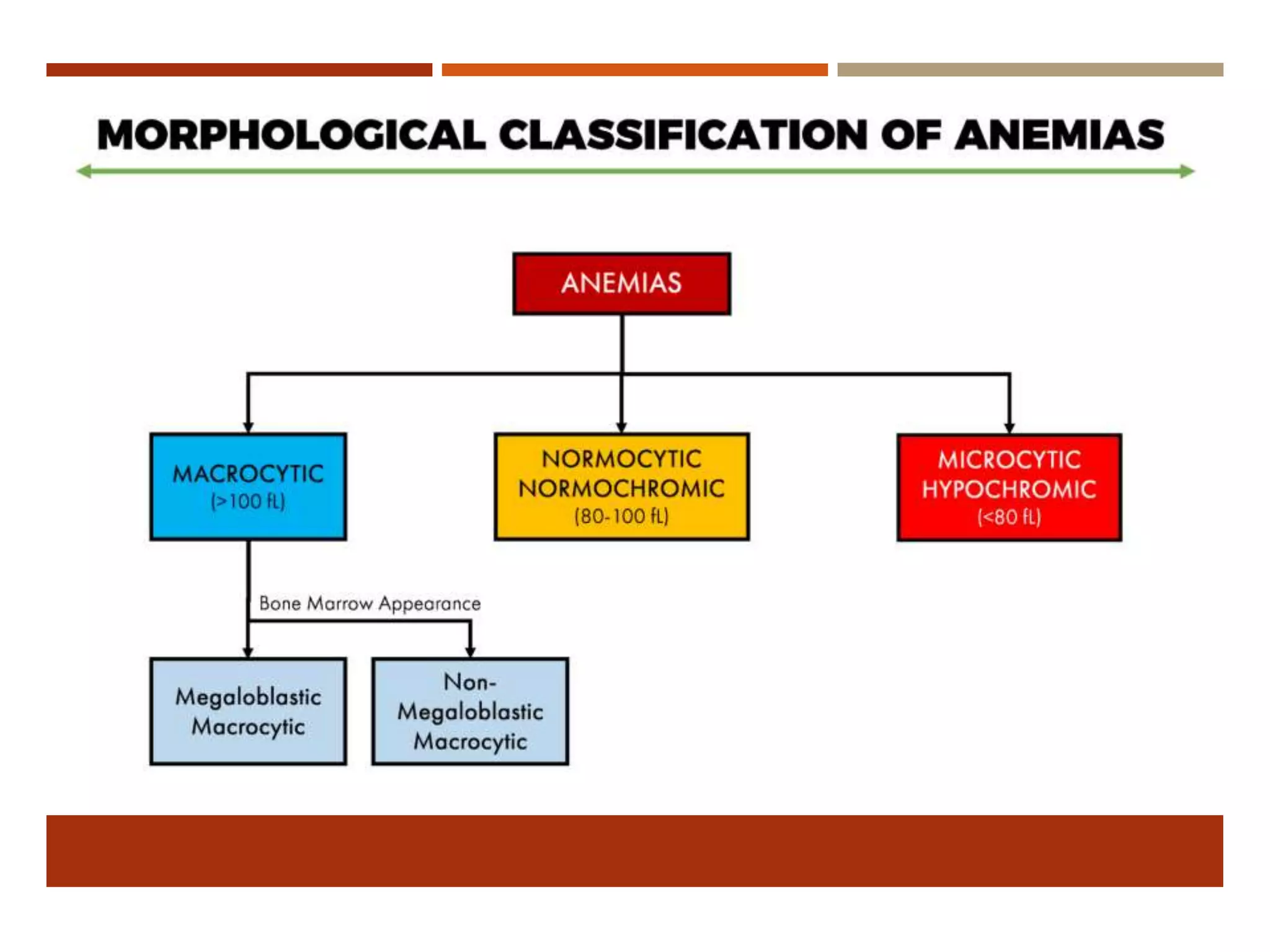 Anemia and its classification | PPTX