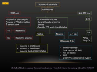 Anaemia evaluation | PPS