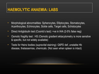 Anaemia evaluation | PPS