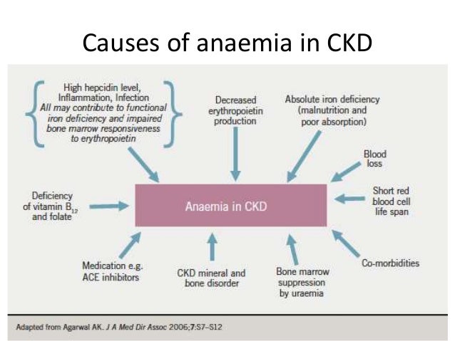 Anaemia in ckd