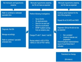 Anaemia in pregnancy ICOG guidelines | PPTX