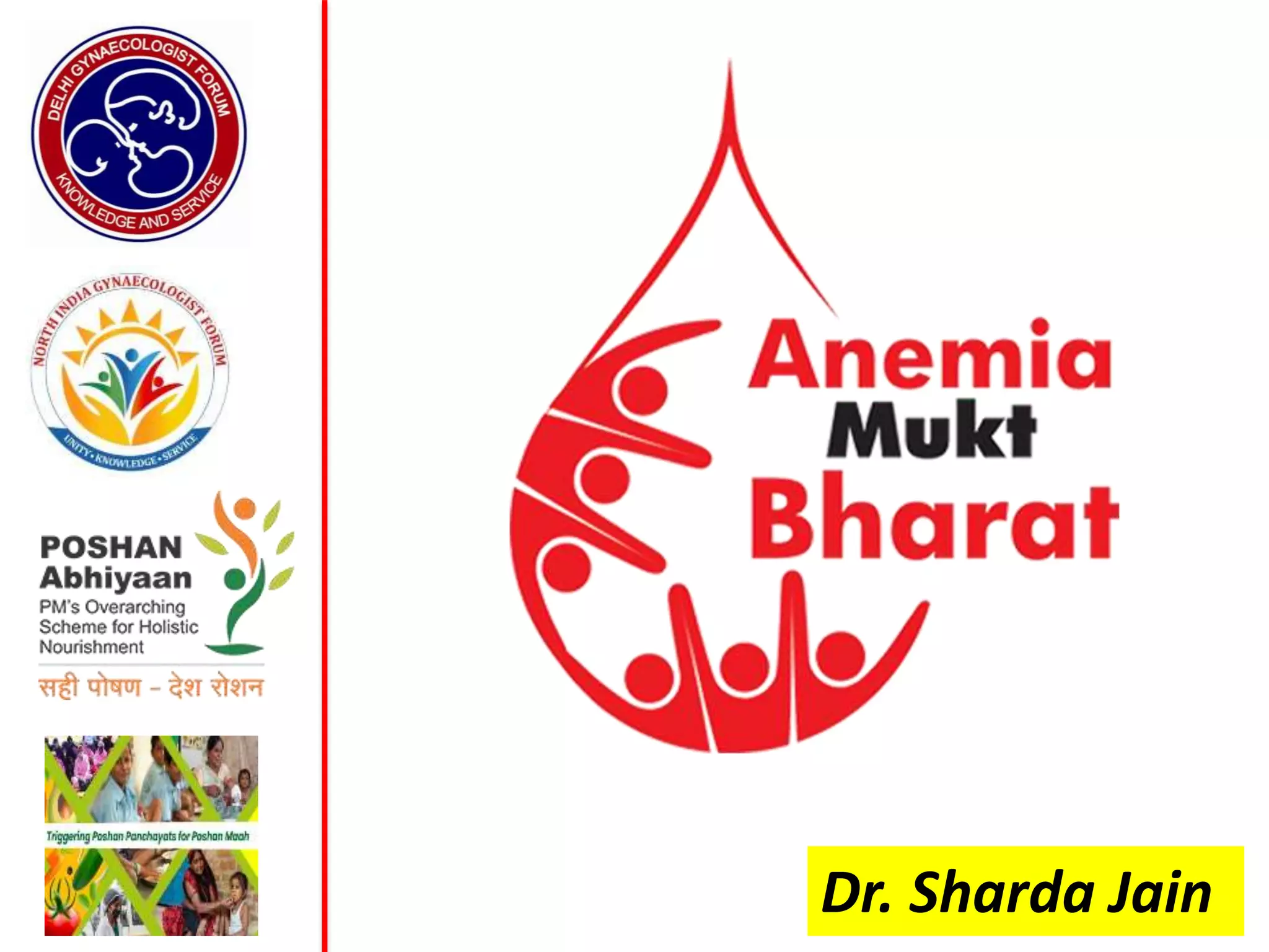 ANAEMIA MUKT BHARAT Dr Sharda Jain | PPTX