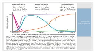 Anaemia, Pathophysiology, Types and Disorders.pptx