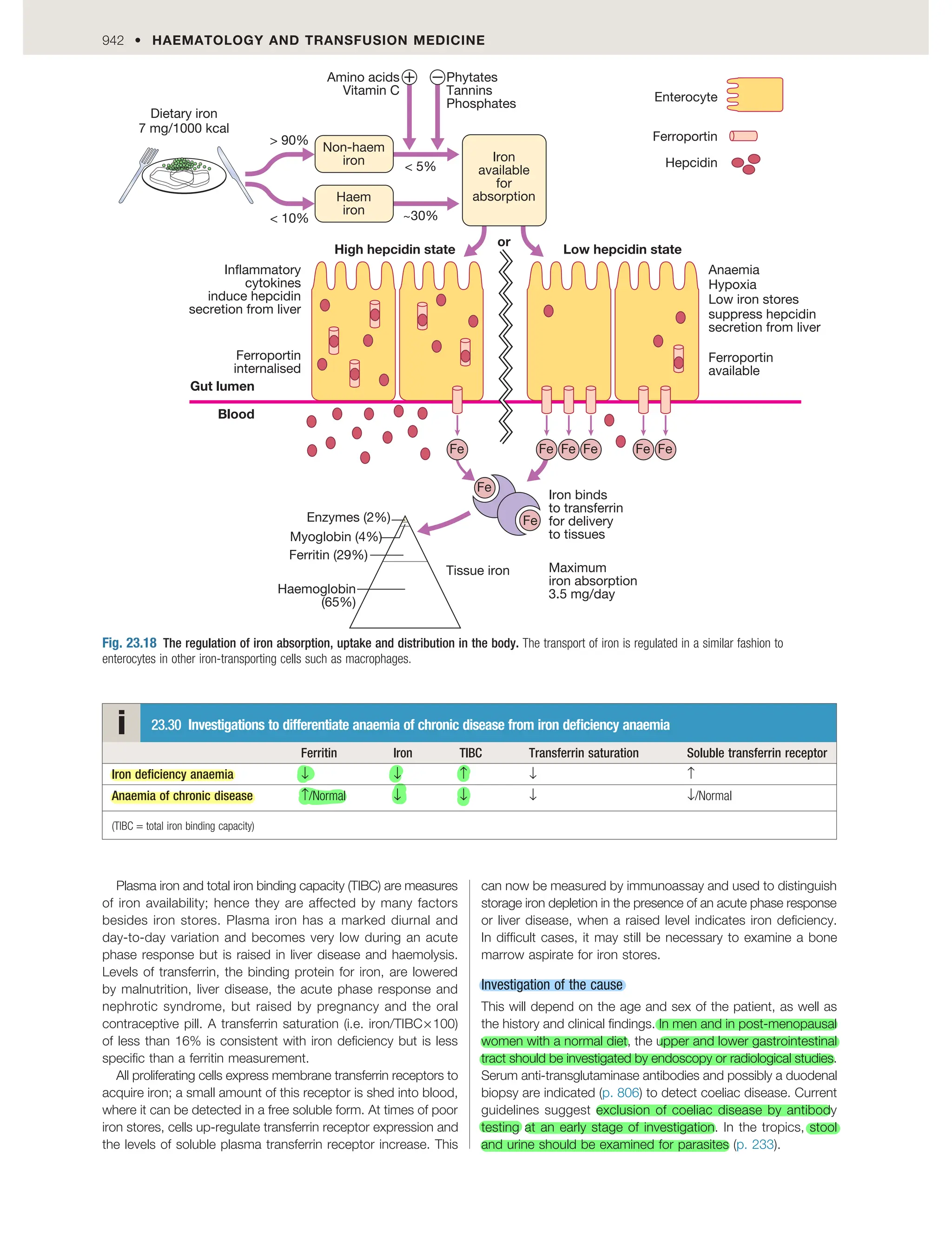 types of anemia: - Iron Deficiency Anemia (IDA) - Anemia of Chronic ...