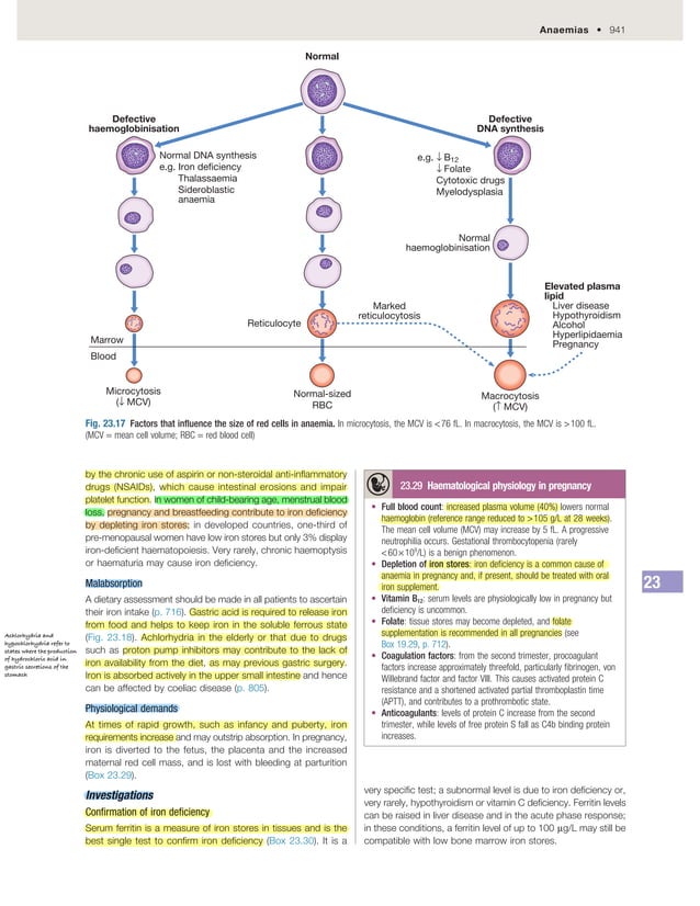 types of anemia: - Iron Deficiency Anemia (IDA) - Anemia of Chronic ...