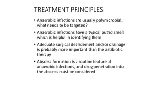 anaerobes rx.pptx