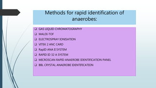 Methods for rapid identification of anaerobes | PPTX