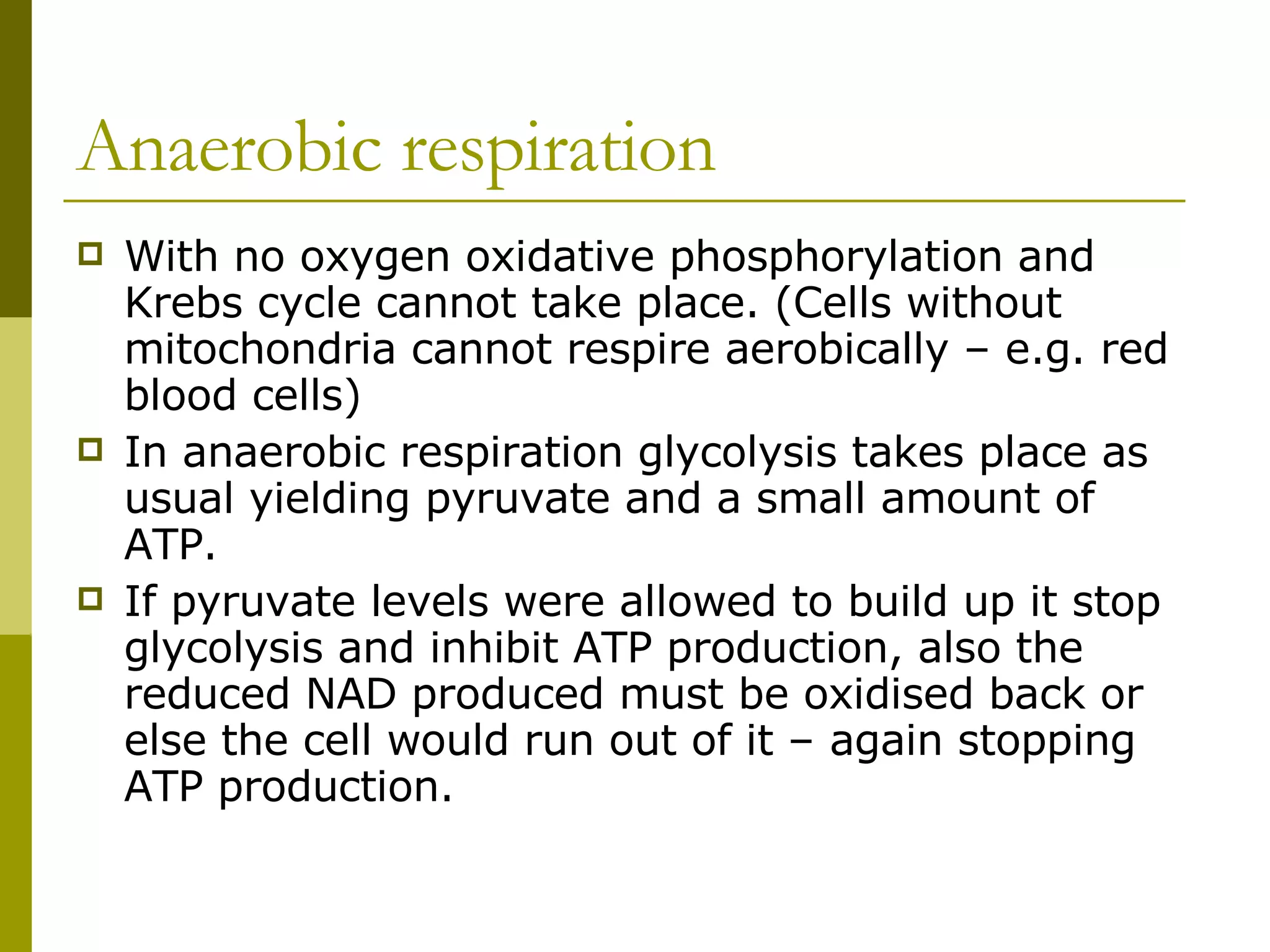 Anaerobic Respiration | PPT