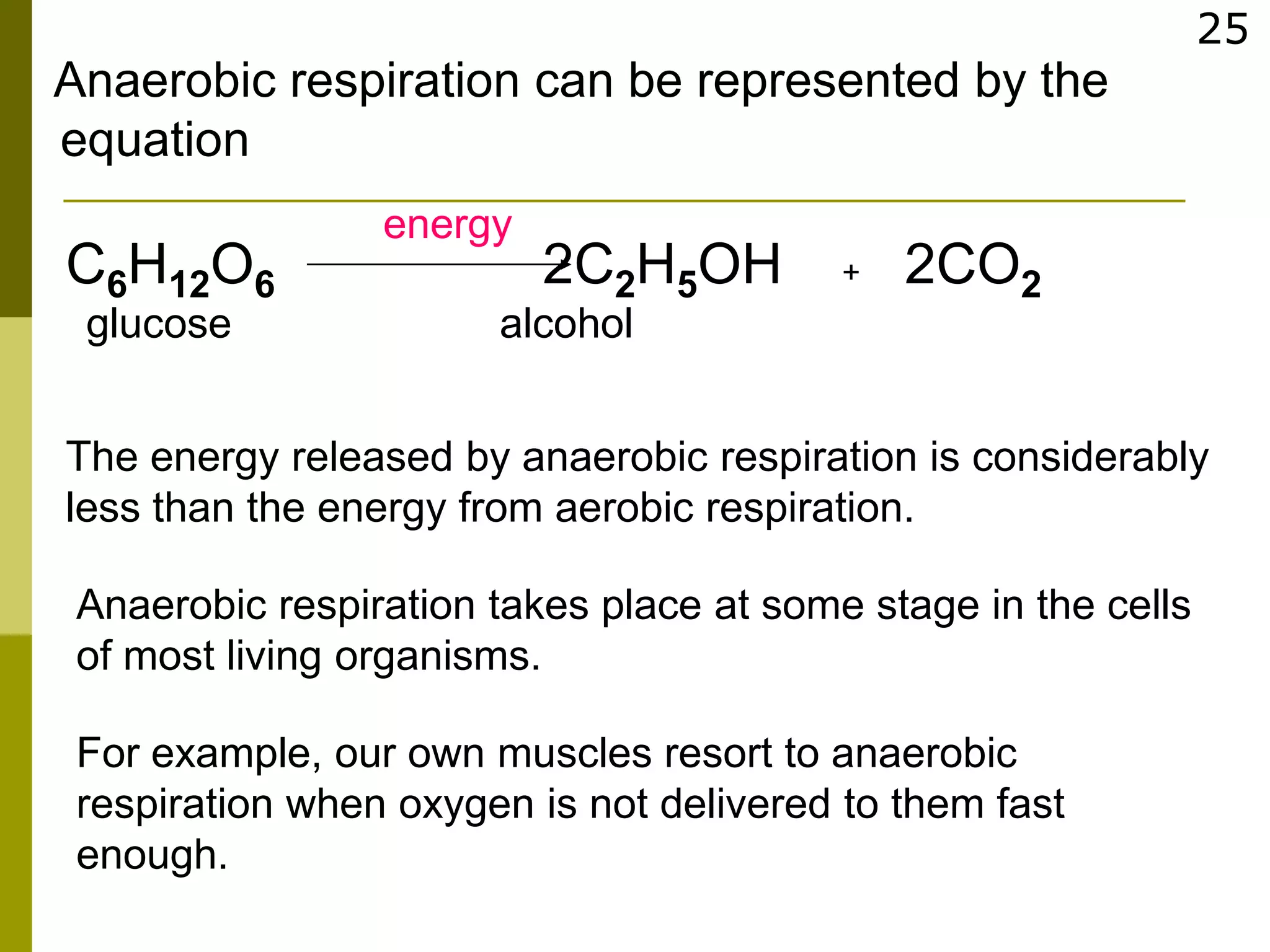 Anaerobic respiration 2 | PPTX