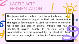 anaerobic-respiration_20241022_231331_0000.pptx