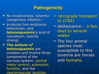 Anaerobic bacteria | PPT