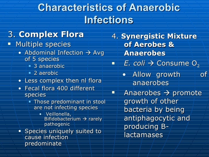 Anaerobic bacteria