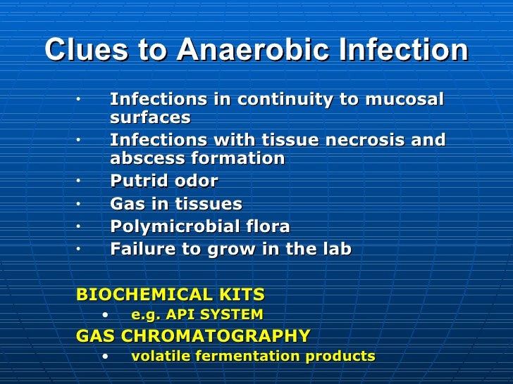 Anaerobic bacteria